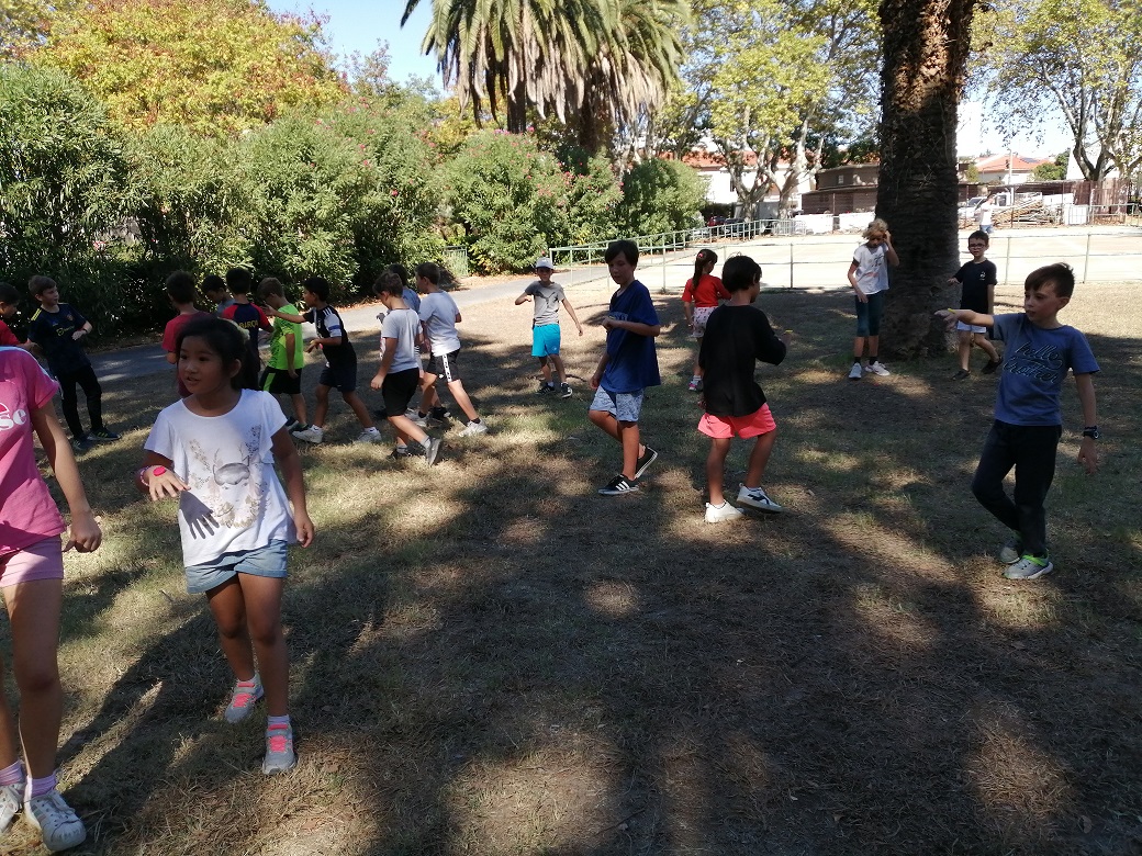 3, 2, 1, partez… « Turtle Wushu » en CM1 | Institution La Salle Saint ...